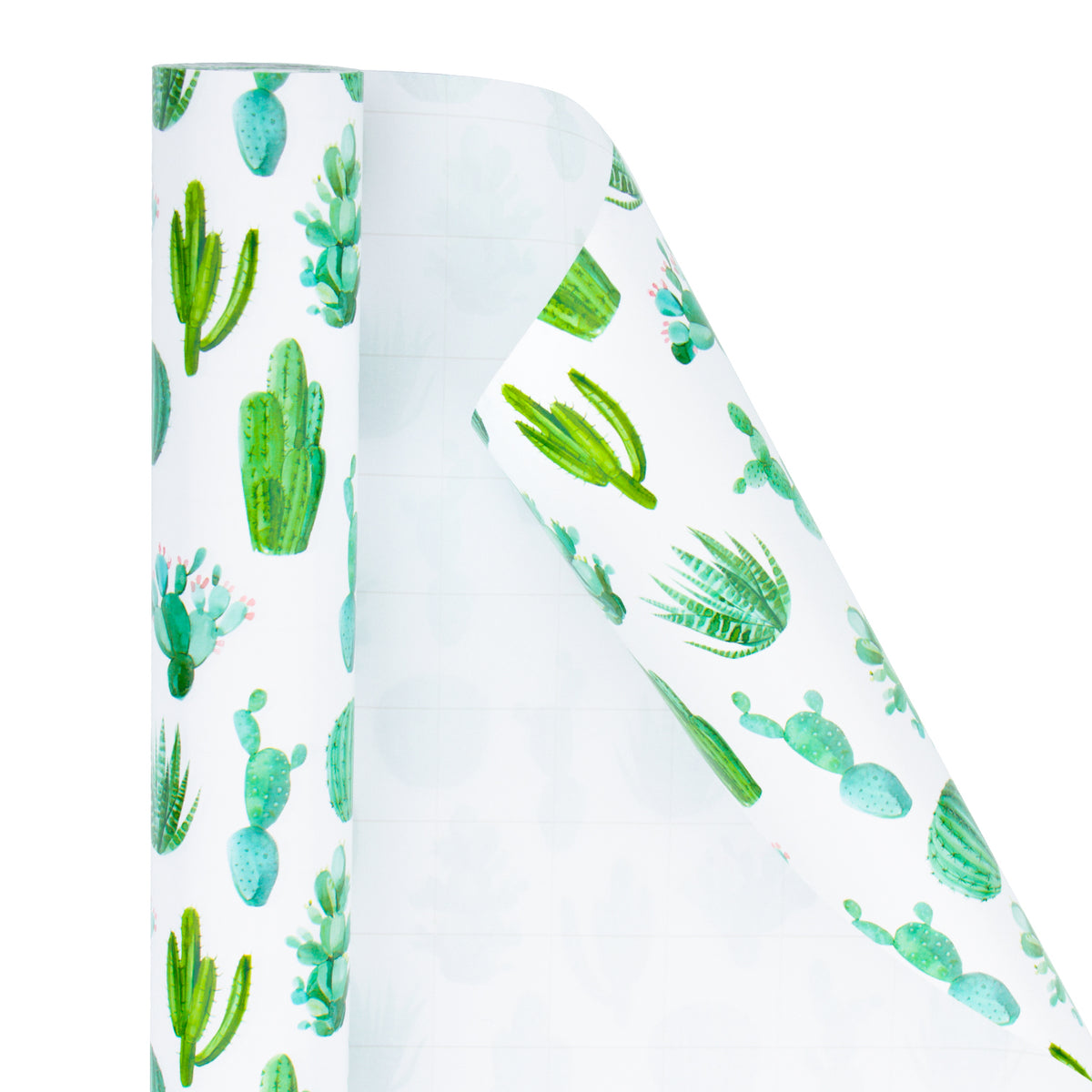 Wrapaholic Watercolor Cactus Print Gift Wrapping Paper Roll – WRAPAHOLIC
