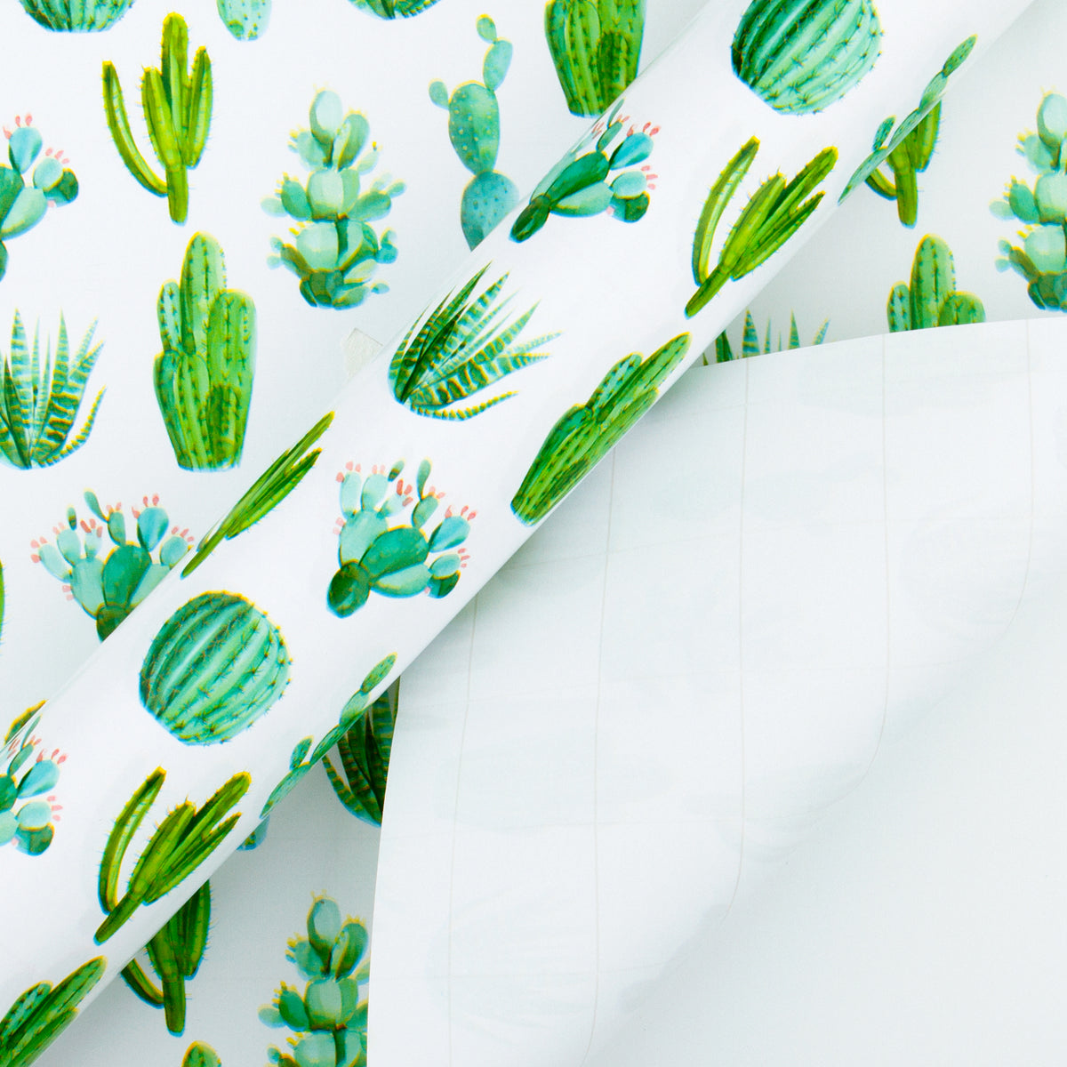 Wrapaholic Watercolor Cactus Print Gift Wrapping Paper Roll – WRAPAHOLIC